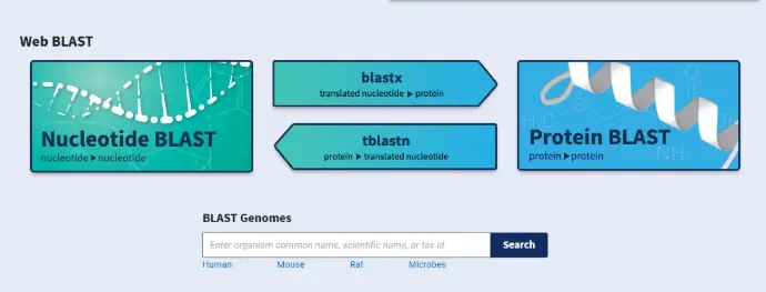 Primer BLAST: How to Use NCBI Primer Design Tool for Accurate PCR Prim